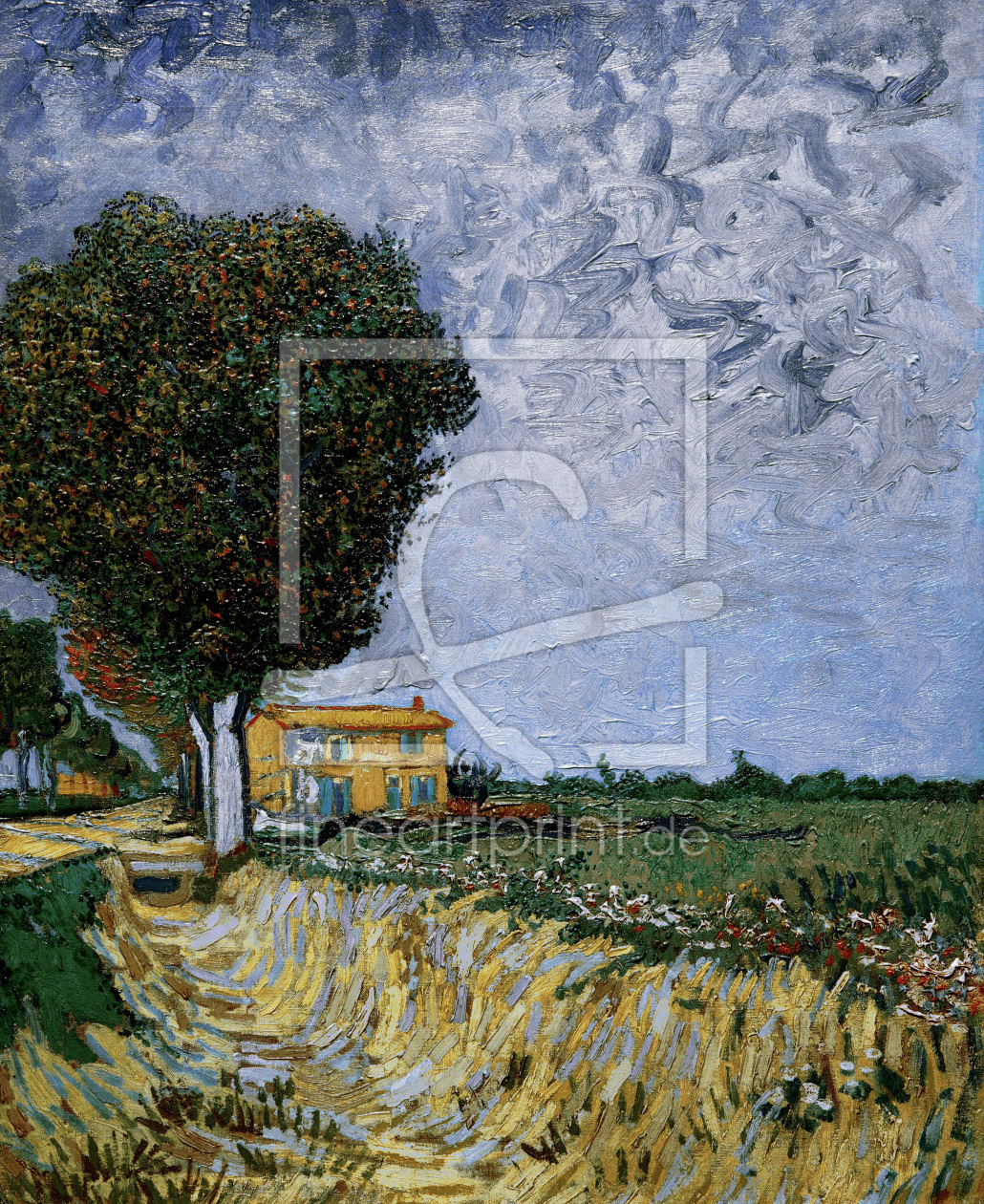 Van Gogh Sower at sunset as a canvas print 300033...