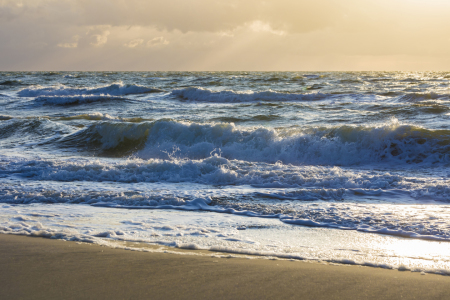 Darßer Weststrand an der Ostseeküste as a canvas p...