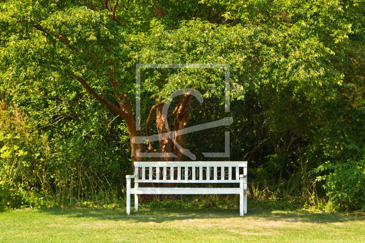 Bank im Park 4 als FotoTapetendruck 11452147 | Fine...