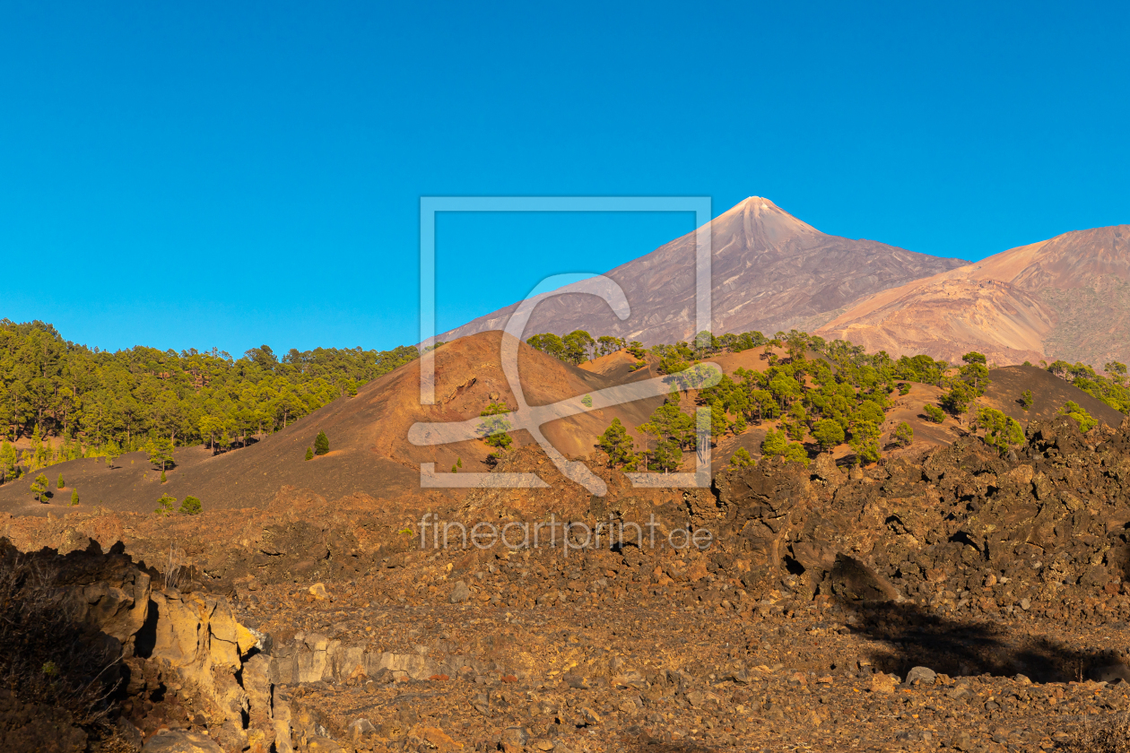 Blick zum Teide und Pico Viejo als Papierdruck 12701...