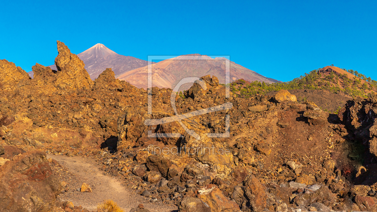Blick zum Teide und Pico Viejo als Papierdruck 12701...